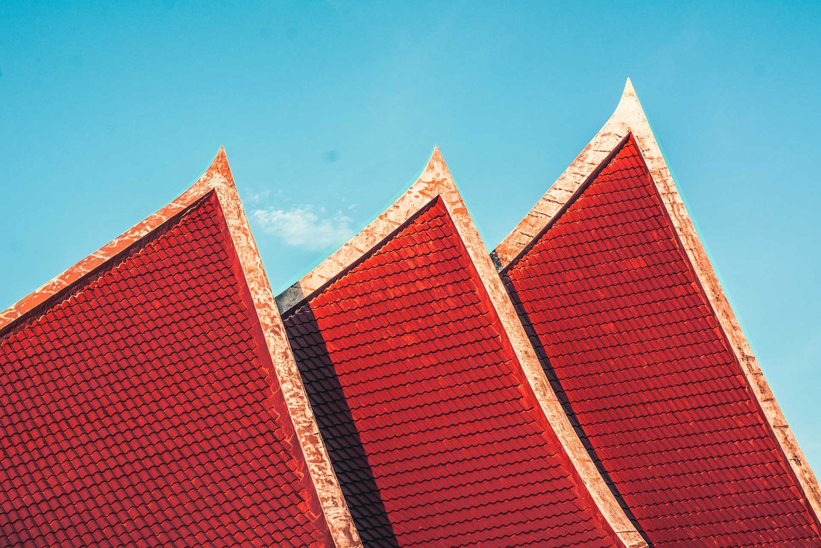 Transforming Real Estate, IT, Education and More with Passion - KAIG Group